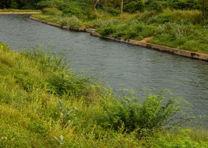 Waters of Wonder: The Story of Mettur Dam in Tamil Nadu - Best Places